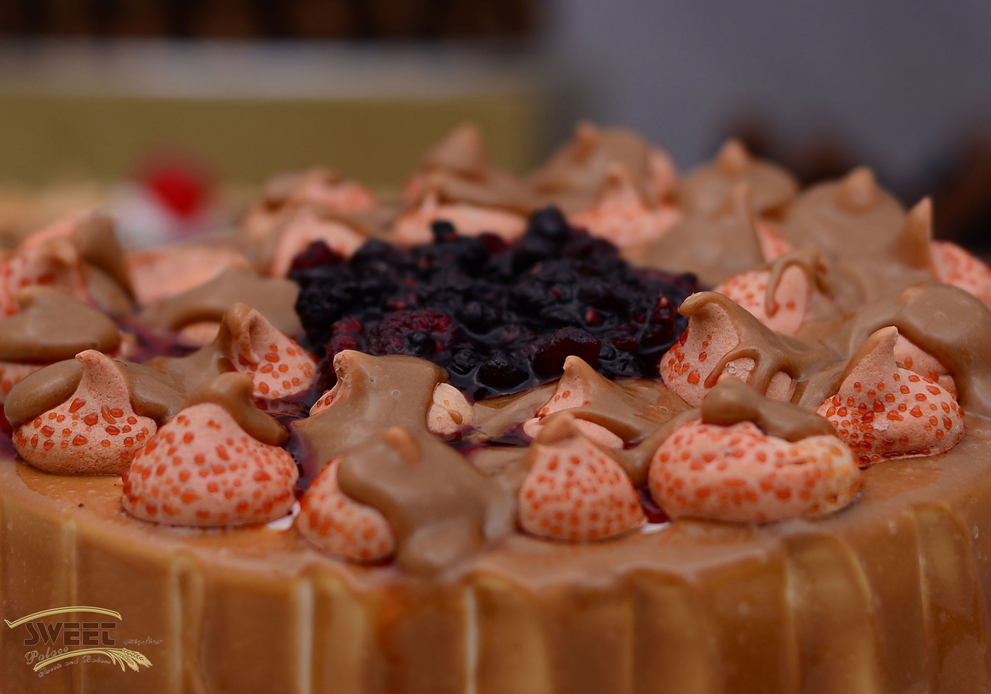 Fresh Cream Cake
